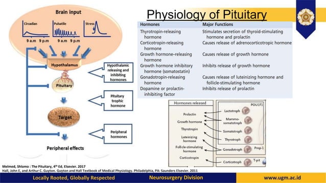 Clinical Anatomy and Physiology of the Pituitary.pptx