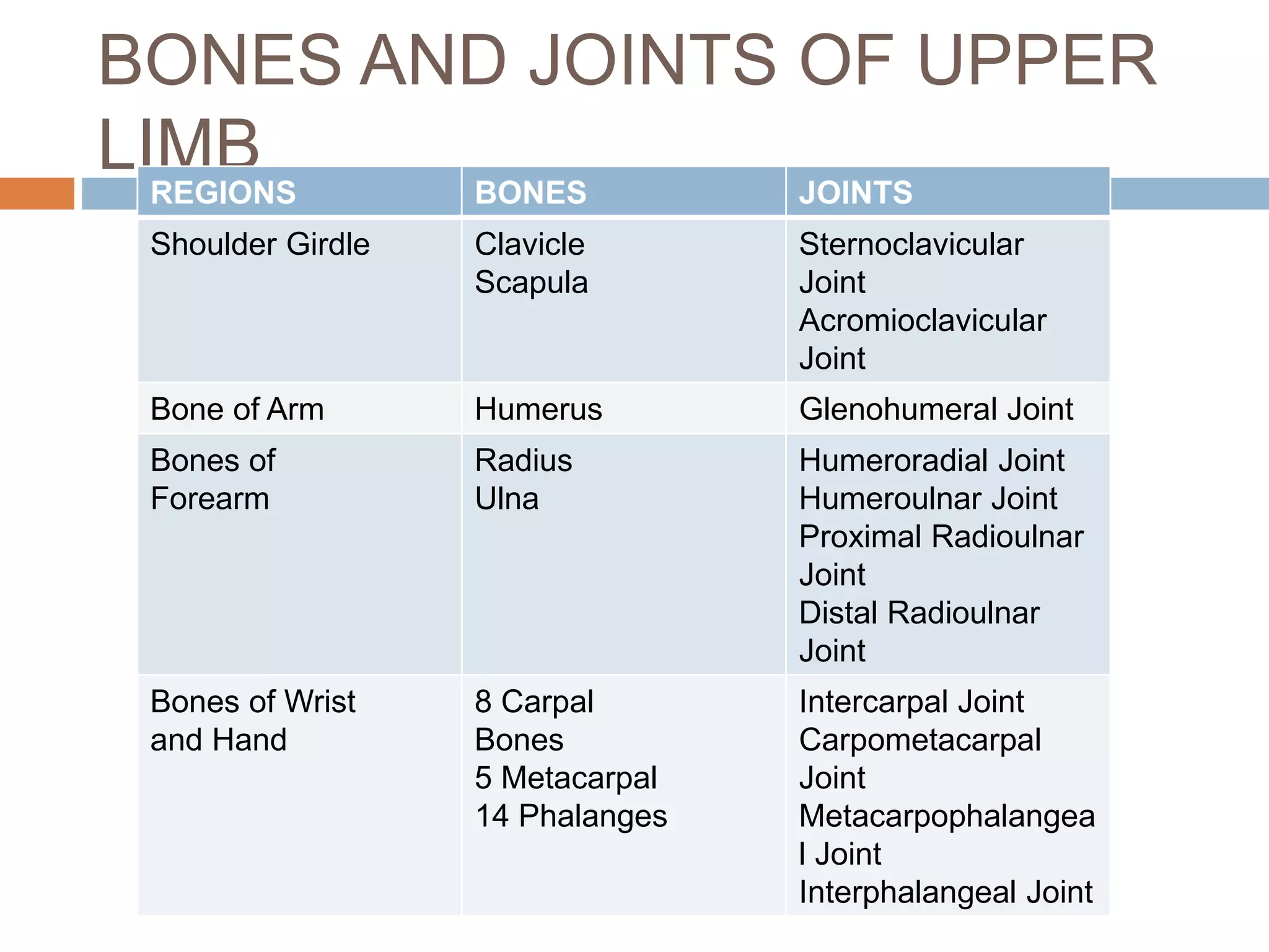 Clinical anatomy of bones and joints | PPTX