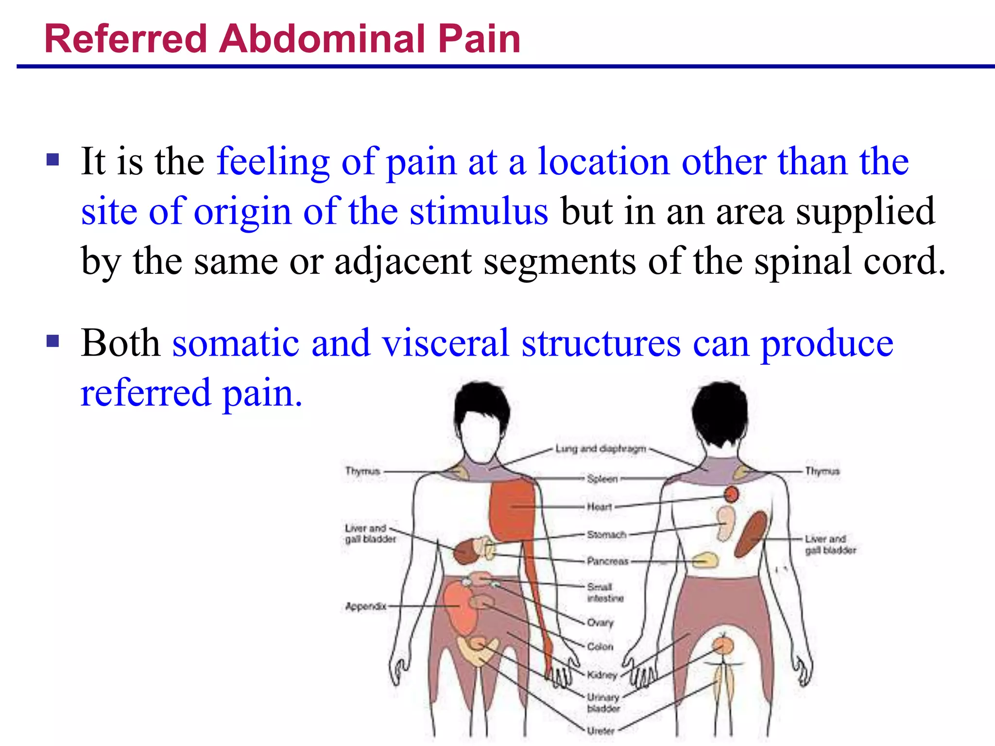 Clinical anatomy of abdominal wall and pelvic wall | PPT