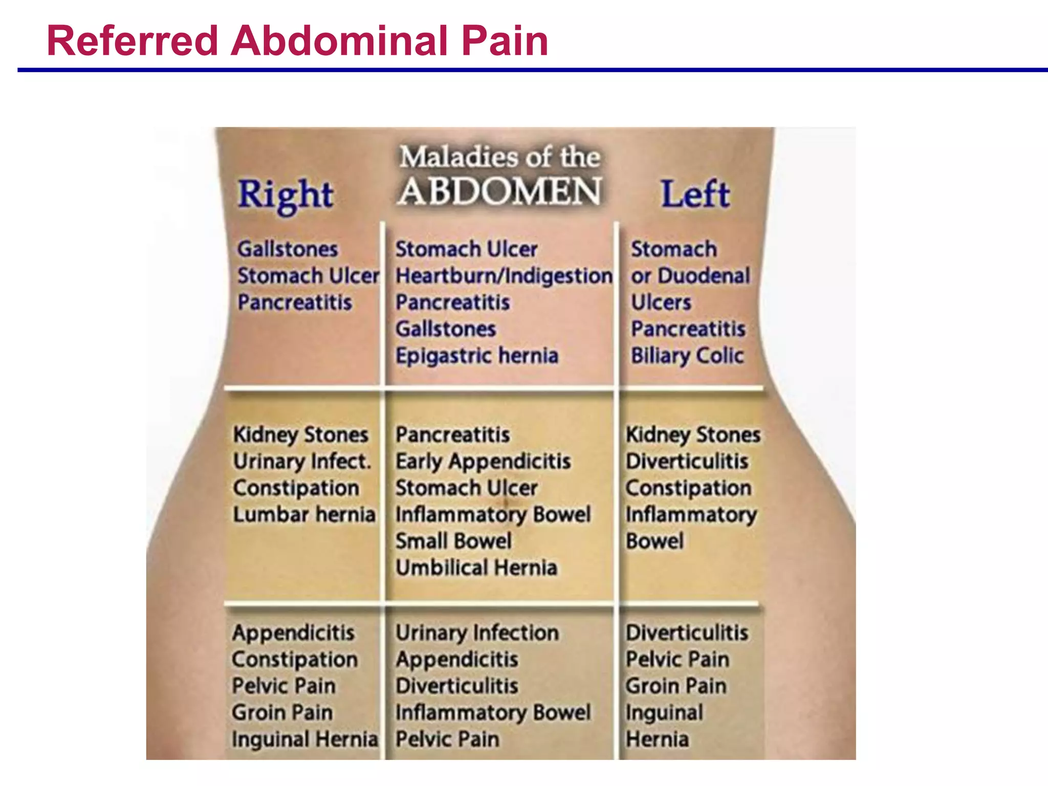 Clinical anatomy of abdominal wall and pelvic wall | PPT