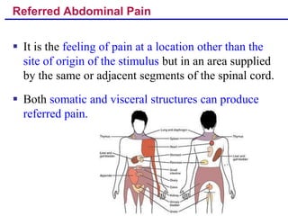 Clinical anatomy of abdominal wall and pelvic wall | PPT