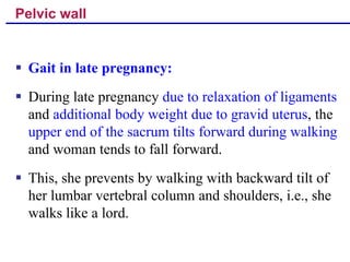 Clinical anatomy of abdominal wall and pelvic wall | PPT