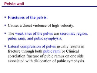 Clinical anatomy of abdominal wall and pelvic wall | PPT