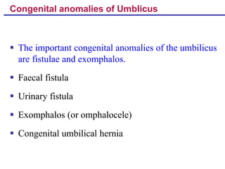 Clinical anatomy of abdominal wall and pelvic wall | PPT