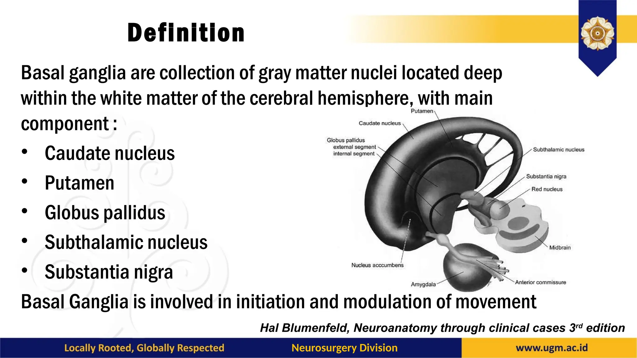 Clinical Anatomy of Basal Nuclei - Daniel Kusuma.pptx