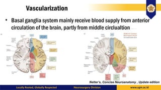 Clinical Anatomy of Basal Nuclei - Daniel Kusuma.pptx