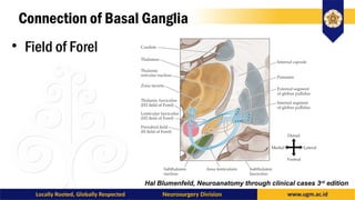 Clinical Anatomy of Basal Nuclei - Daniel Kusuma.pptx