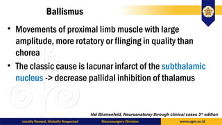 Clinical Anatomy of Basal Nuclei - Daniel Kusuma.pptx
