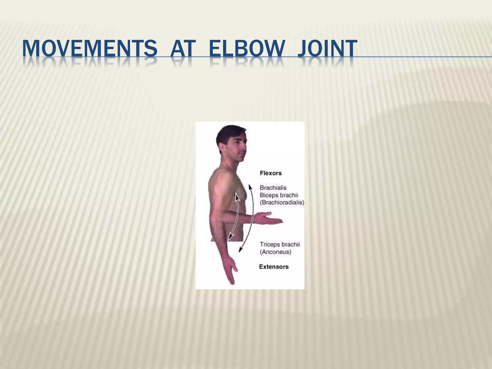 Clinical anatomy of elbow | PPTX