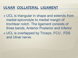 Clinical anatomy of elbow | PPTX