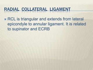 Clinical anatomy of elbow | PPTX