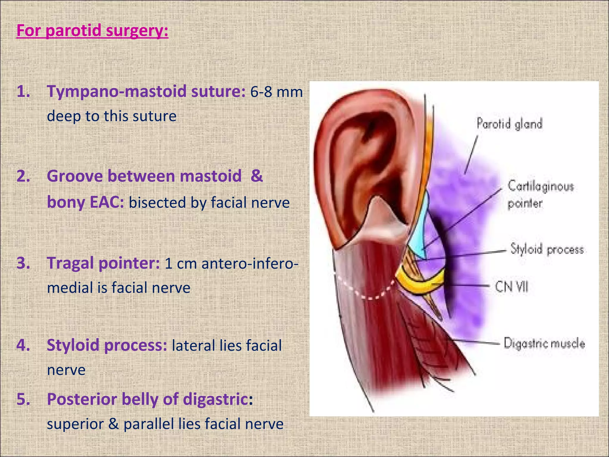Clinical anatomy of facial nerve and facial nerve palsy | PPT