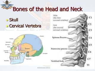 Clinical anatomy of Head and neck.ppt