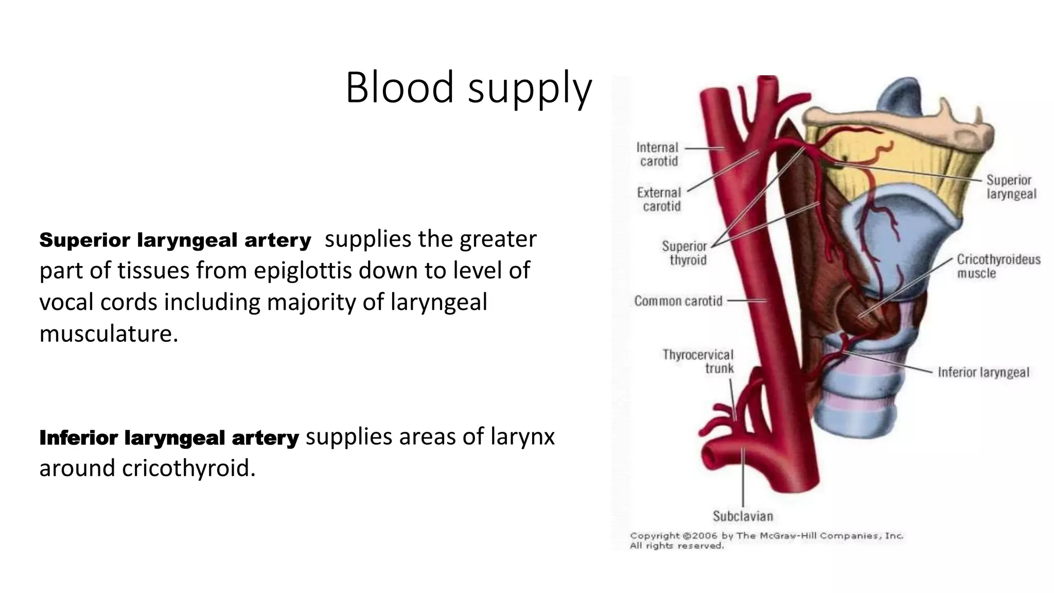 Clinical Anatomy Of Laryngeal Cancer.ppt