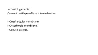 Clinical Anatomy Of Laryngeal Cancer.ppt