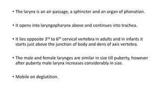 Clinical Anatomy Of Laryngeal Cancer.ppt