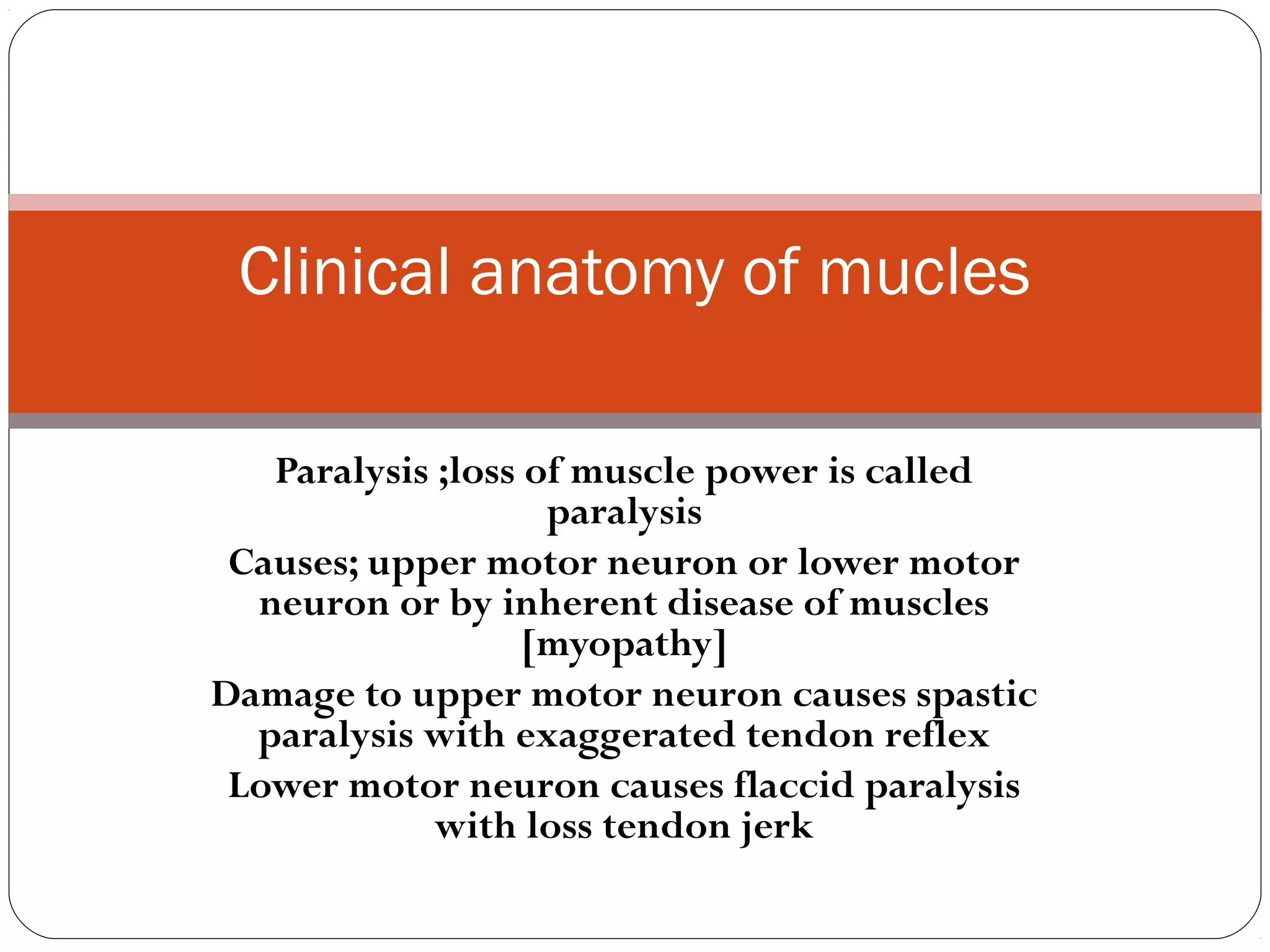 Clinical anatomy of muscles | PPT