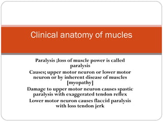 Clinical anatomy of muscles | PPT