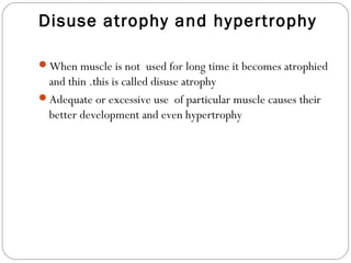 Clinical anatomy of muscles | PPT