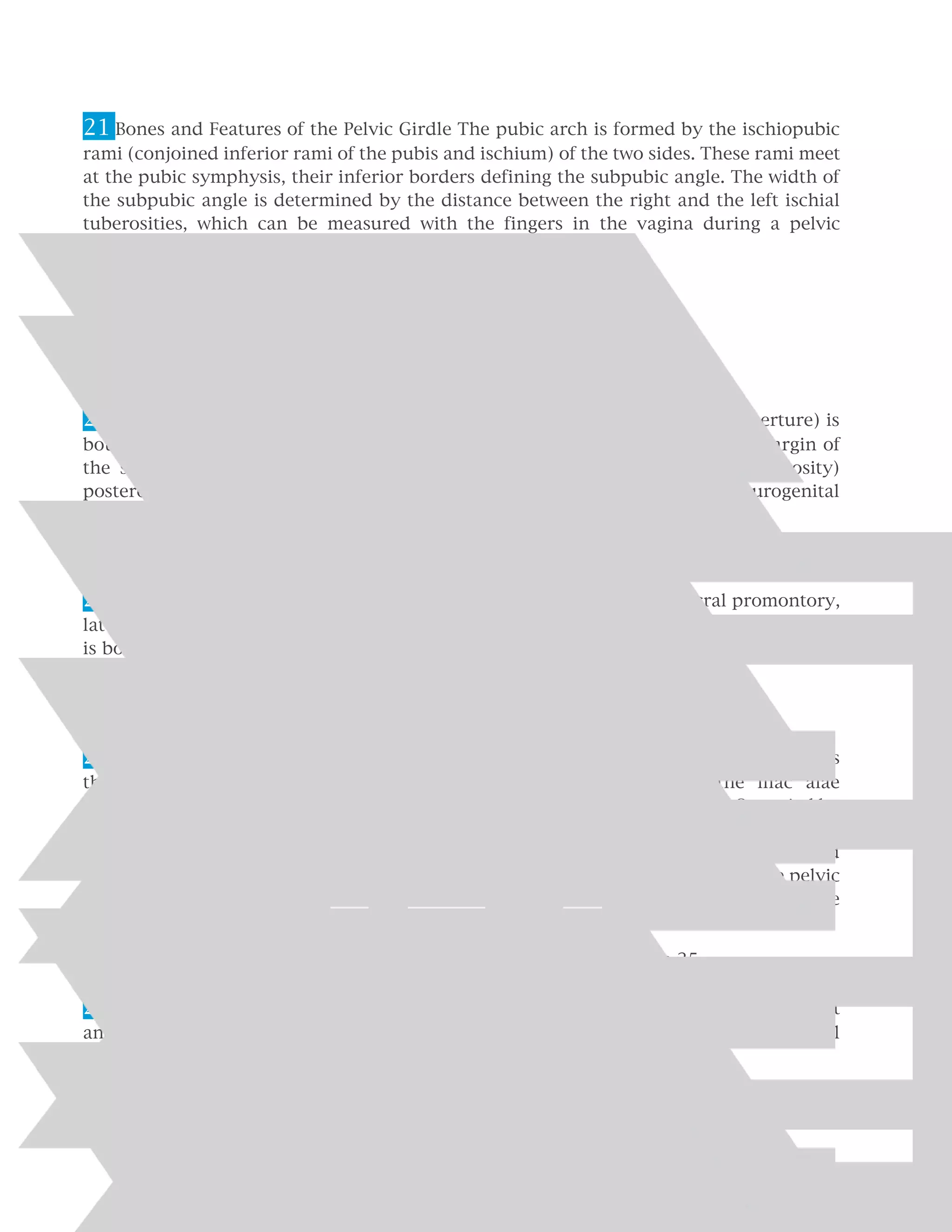 Clinical anatomy of pelvis bones and joints associate professor dr. a ...