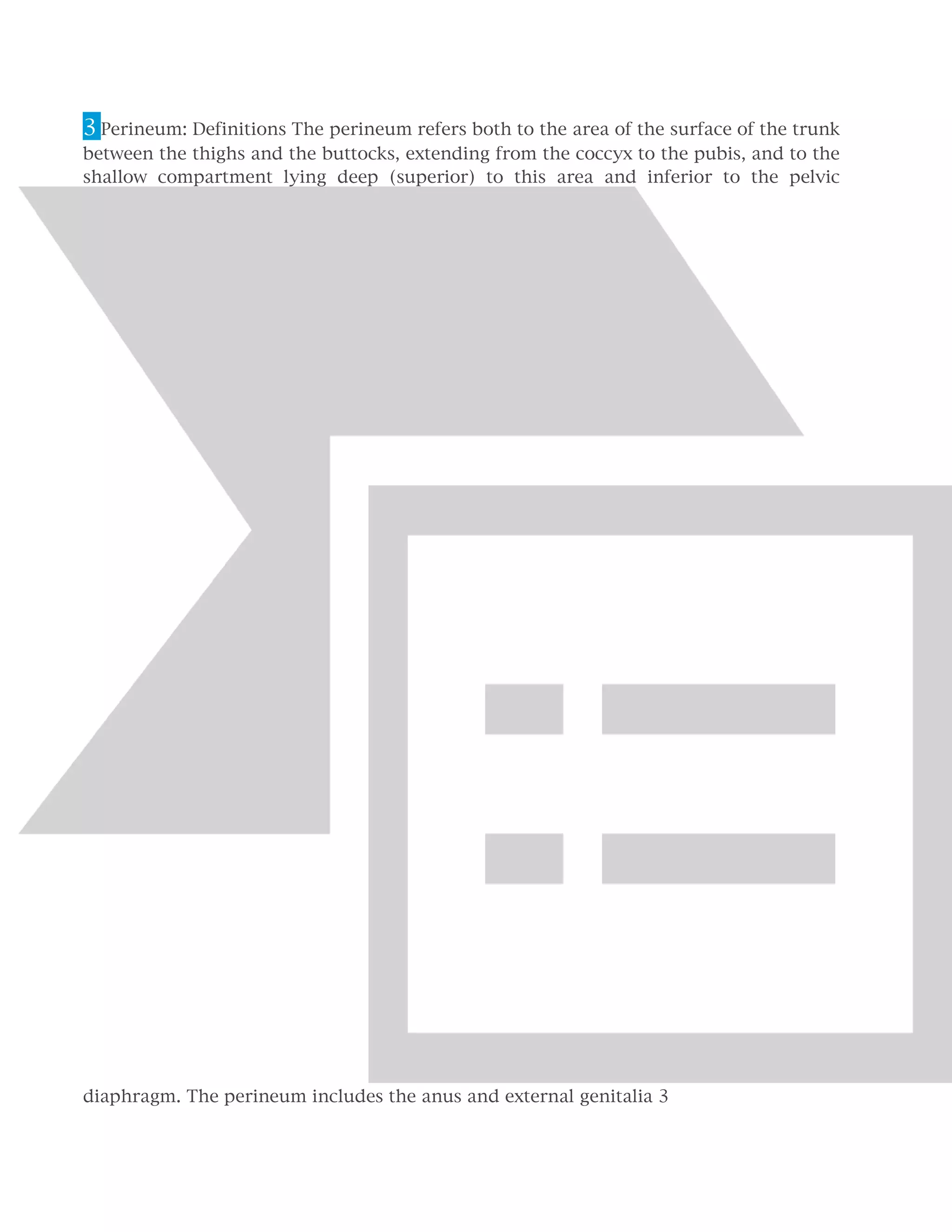 Clinical anatomy of pelvis bones and joints associate professor dr. a ...