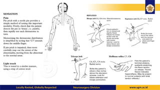 Clinical Anatomy of Peripheral Nerves_ANO.pptx