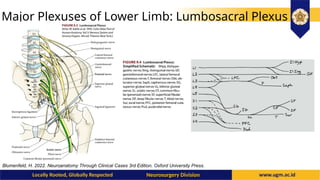 Clinical Anatomy of Peripheral Nerves_ANO.pptx