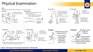 Clinical Anatomy of Peripheral Nerves_ANO.pptx