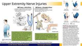 Clinical Anatomy of Peripheral Nerves_ANO.pptx