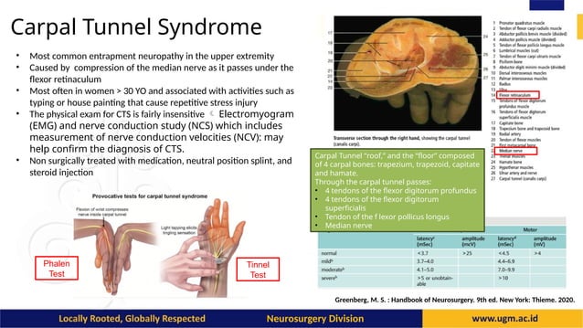 Clinical Anatomy of Peripheral Nerves_ANO.pptx