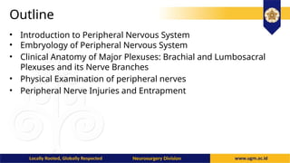 Clinical Anatomy of Peripheral Nerves_ANO.pptx