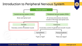 Clinical Anatomy of Peripheral Nerves_ANO.pptx