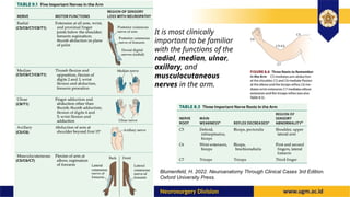 Clinical Anatomy of Peripheral Nerves_ANO.pptx