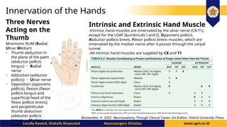 Clinical Anatomy of Peripheral Nerves_ANO.pptx