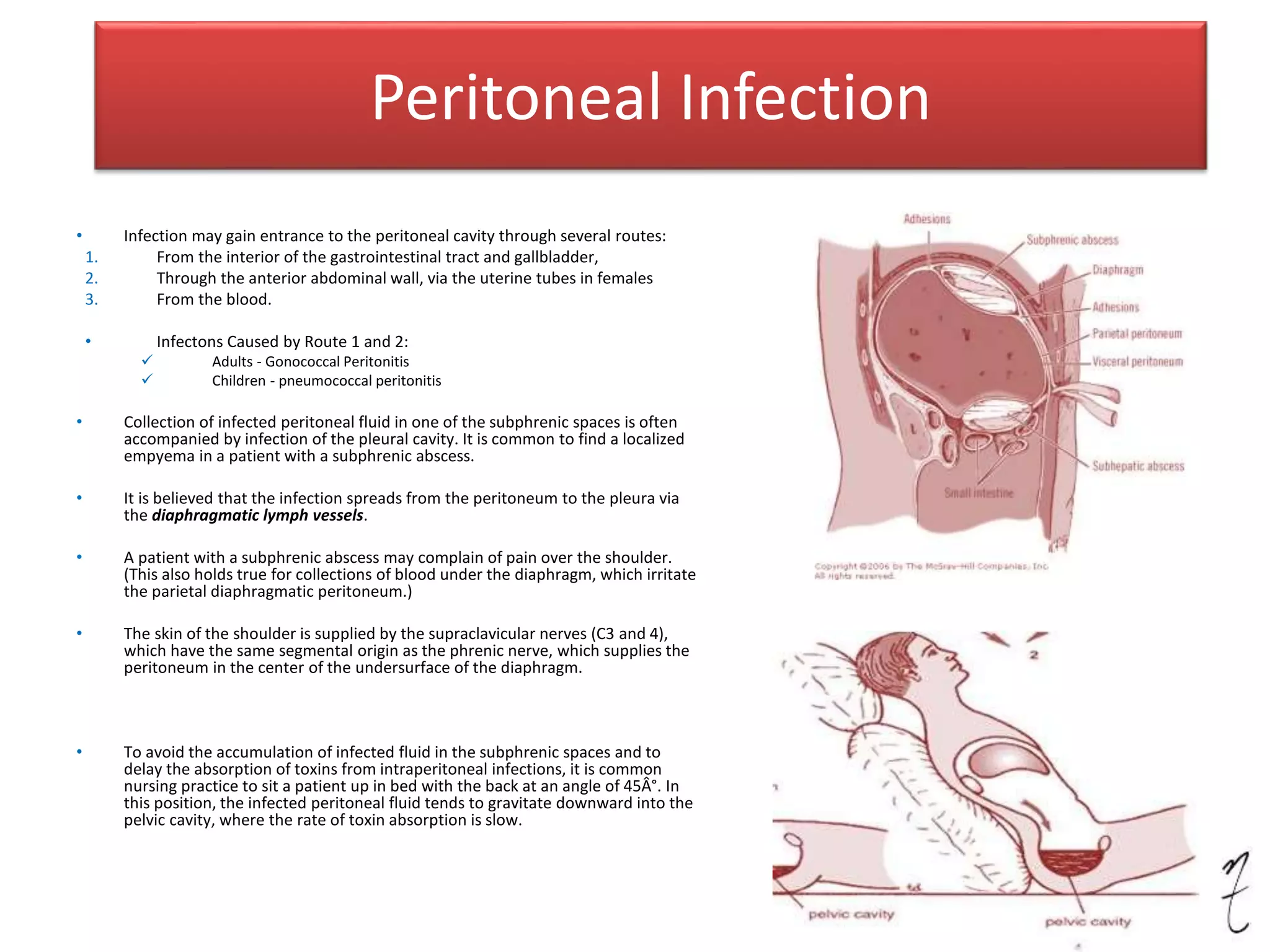 Clinical anatomy of peritoneum | PPTX