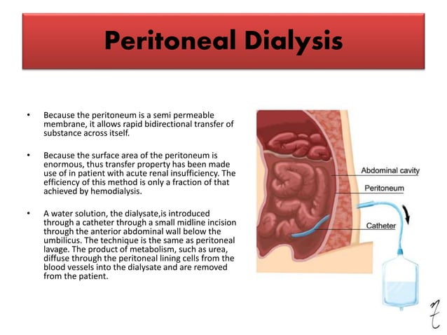 Clinical anatomy of peritoneum | PPTX | Digestive Disorders | Diseases ...