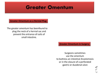 Clinical anatomy of peritoneum | PPTX