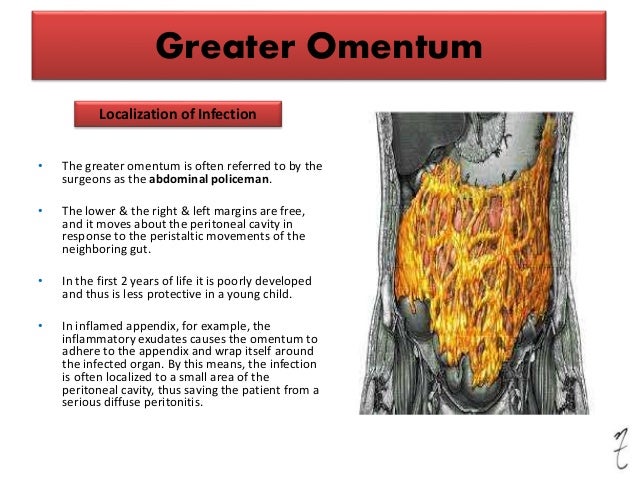 Clinical anatomy of peritoneum