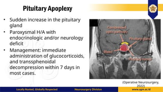 Clinical Anatomy of Pituitary and Hypothalamus.pptx