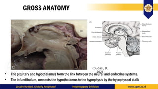 Clinical Anatomy of Pituitary and Hypothalamus.pptx