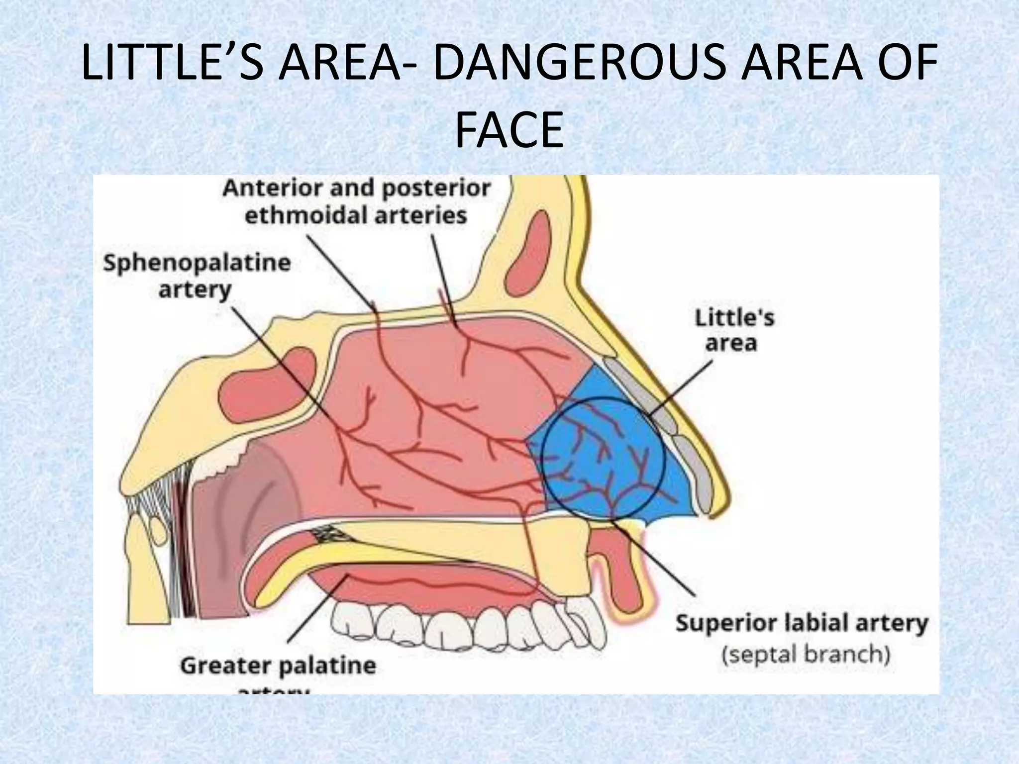 Clinical anatomy of posterior triangle of neck and face | PPTX