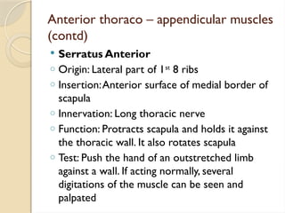 Clinical Anatomy of Shoulder Muscles.pptx
