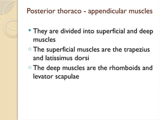 Clinical Anatomy of Shoulder Muscles.pptx