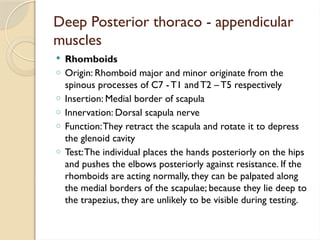 Clinical Anatomy of Shoulder Muscles.pptx
