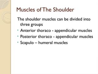 Clinical Anatomy of Shoulder Muscles.pptx