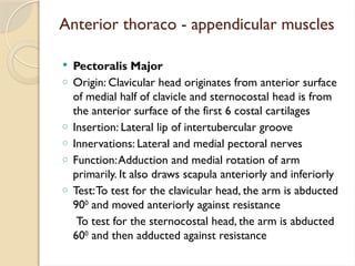 Clinical Anatomy of Shoulder Muscles.pptx