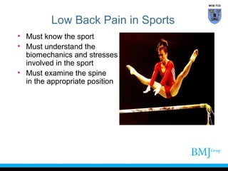 Clinical anatomy of the back | PPT