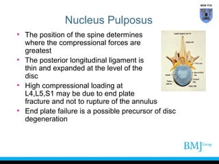 Clinical anatomy of the back | PPT