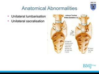 Clinical anatomy of the back | PPT