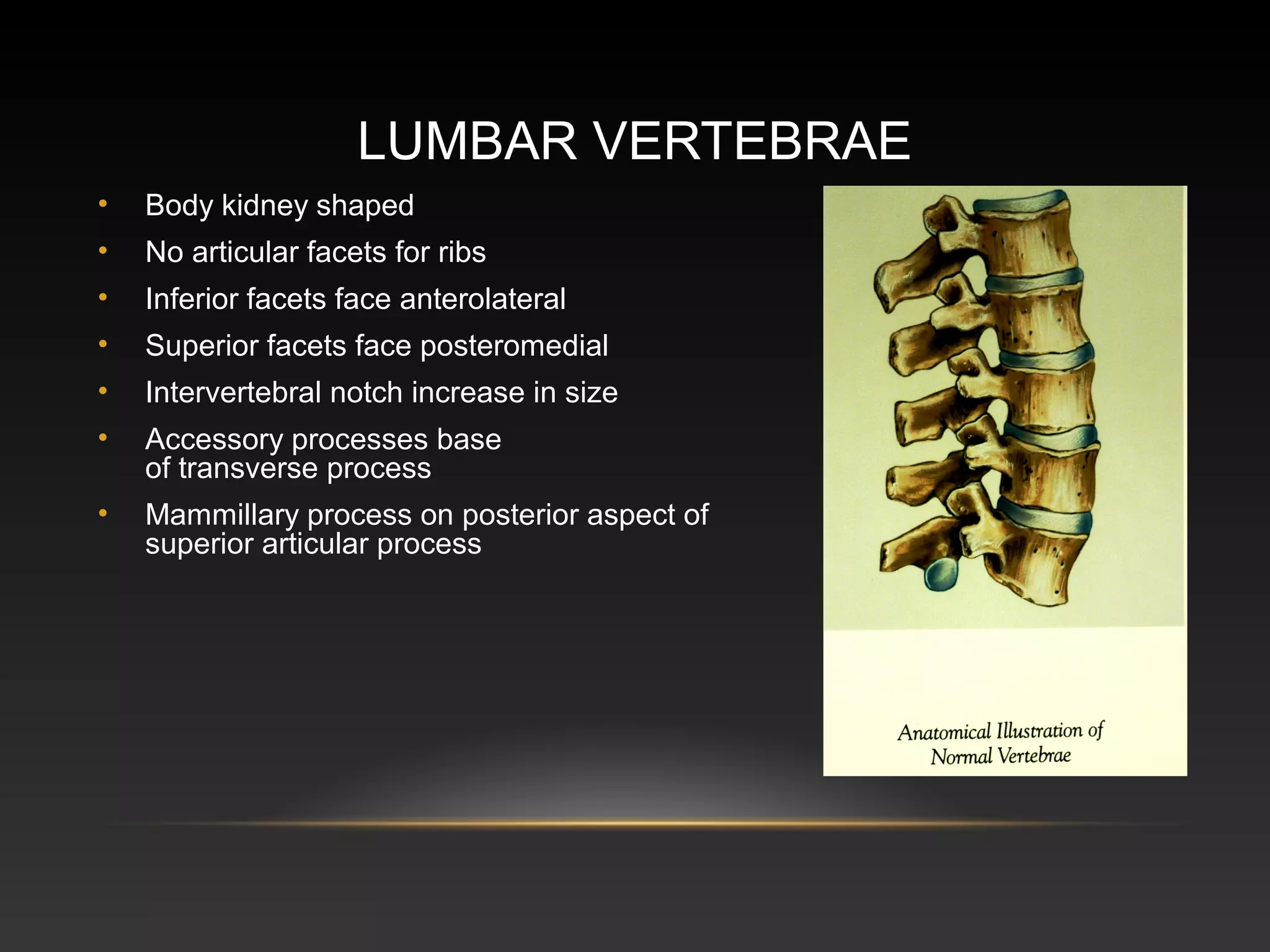 Clinical anatomy of_the_back by- dr. armaan singh | PPT